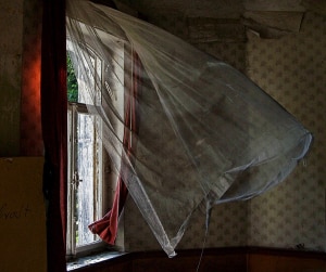 Spring Breezes Through Our Windows - Blindsgalore Blog