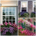 A Fresh Bunch Of Blooms For Your Windows - Blindsgalore Blog