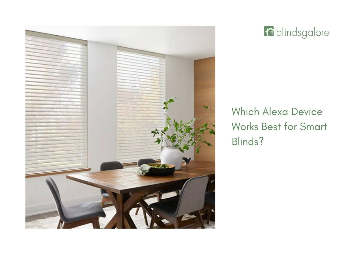 Which Alexa Device Works Best for Smart Blinds? | Blindsgalore Guide